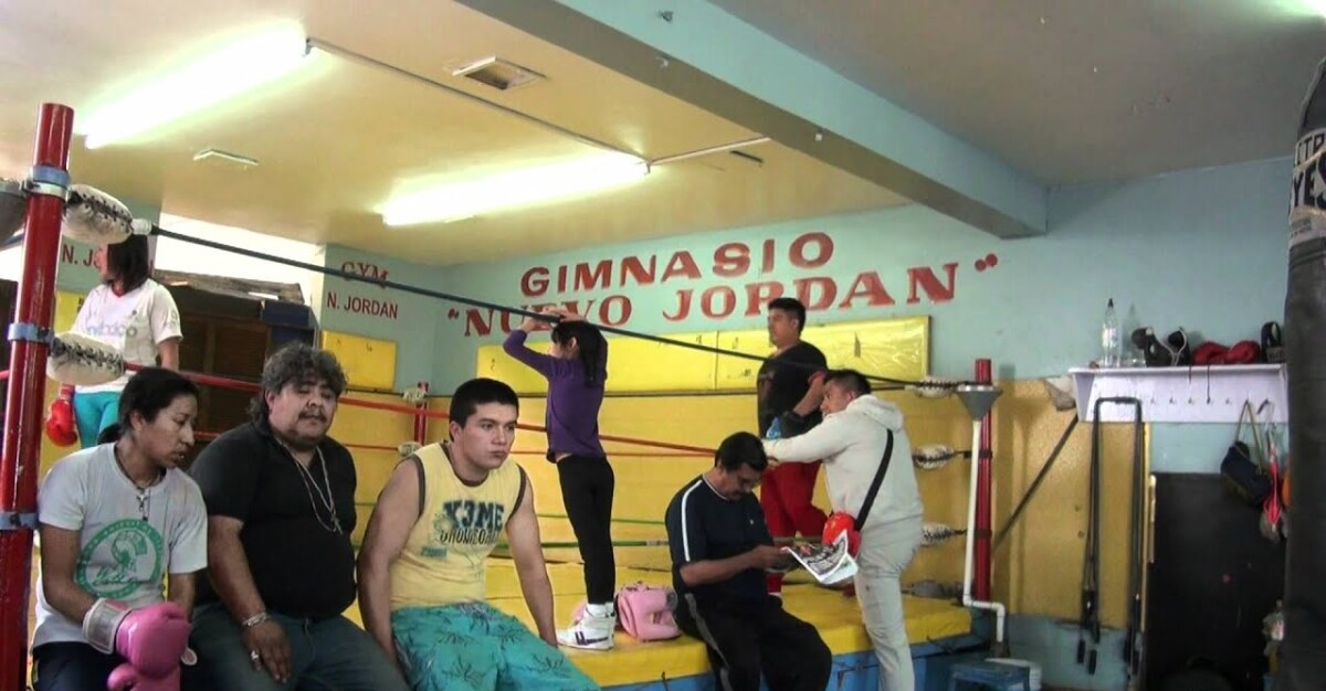 Escuela de boxeo en México ≫ MexicoGob.com