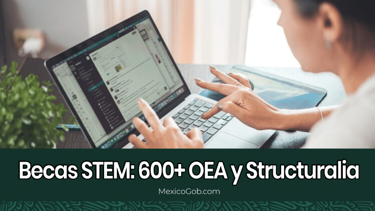 La OEA y Structuralia entregarán más de 600 becas en México para estudiar maestrías en temas ...