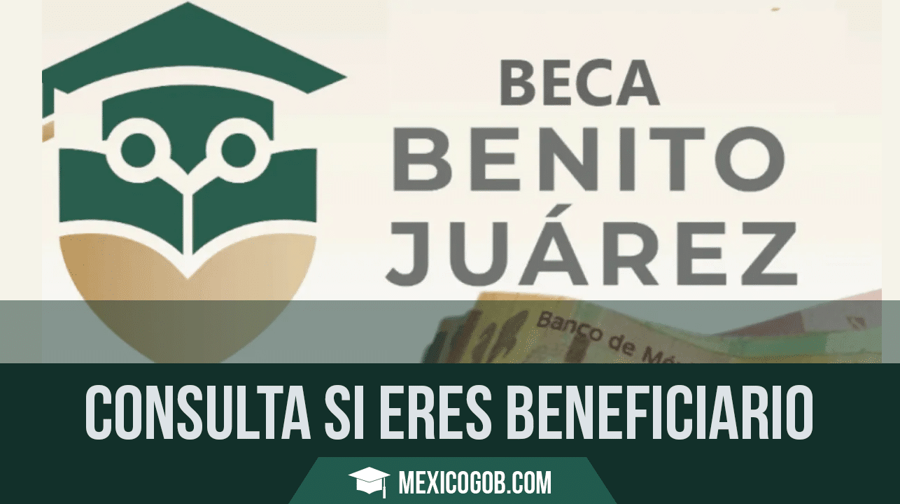 Beca Benito Juárez: ¿Cómo consultar si eres beneficiario del programa? - Mexico Gob