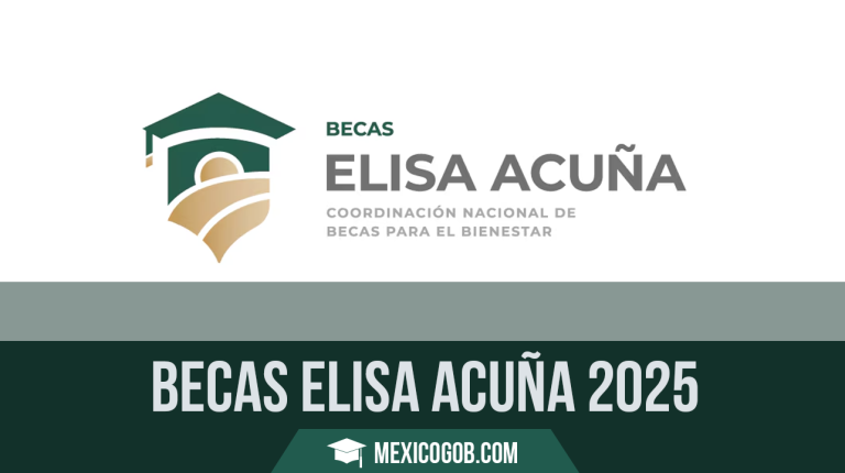 Becas Elisa Acuña 2025: requisitos, montos y modalidades disponibles ...